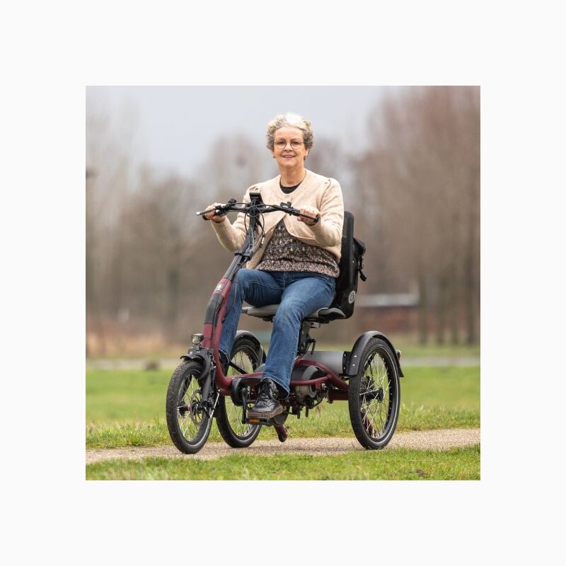 Easy Rider Compact - Sessel Dreirad von Van Raam